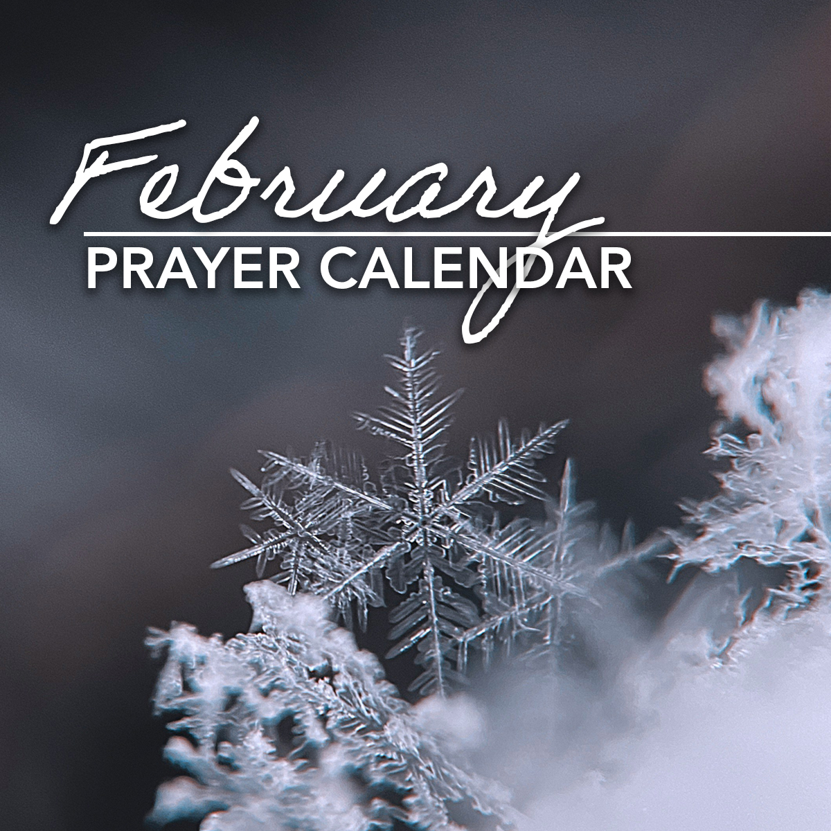 Prayer Calendar and Requests | Nurses Christian Fellowship
